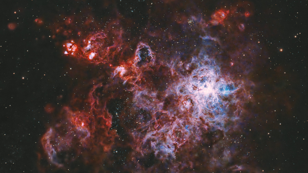 Vespera pro – Vaonis